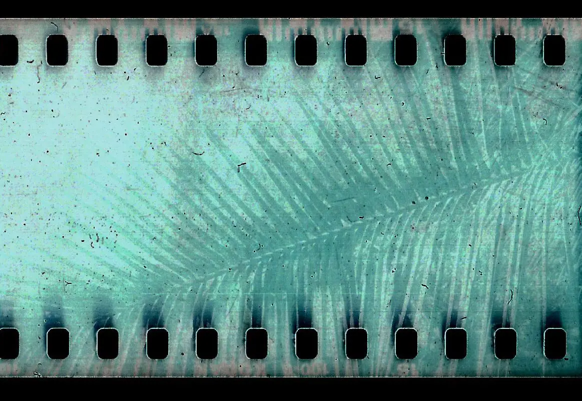 Top 26 Film Developing Problems: What to Look for and How to Prevent ...