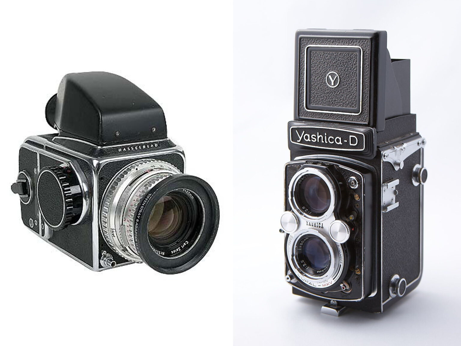 Film Cameras: What They Are and Tips For Using Them – The Photography ...