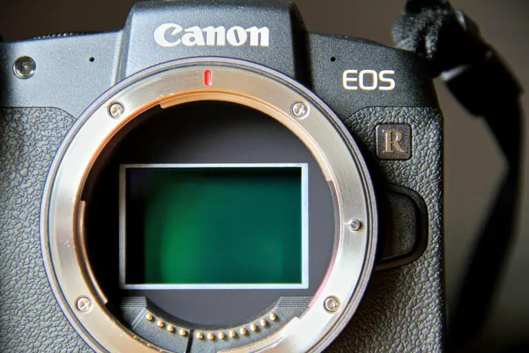 Film Cameras: What They Are and Tips For Using Them – The Photography ...