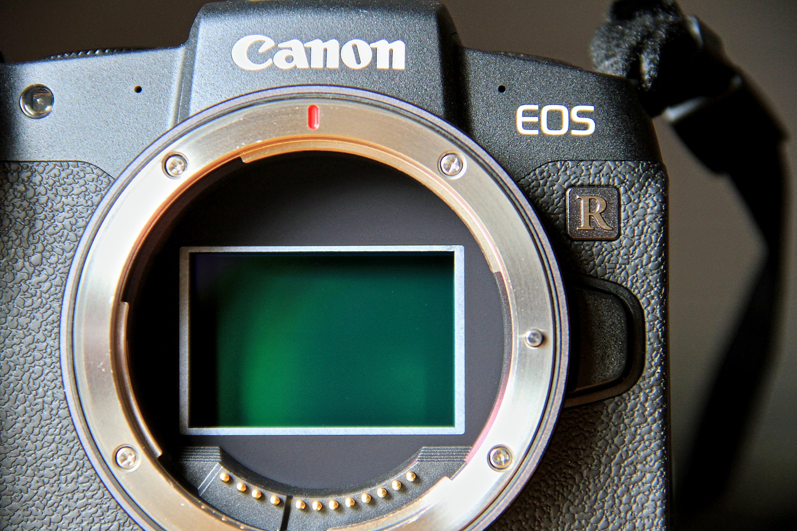 Film Cameras: What They Are and Tips For Using Them | The Photography ...