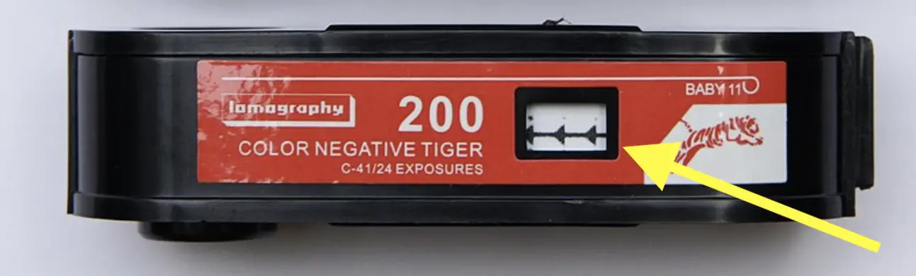 All About 110 Film – The Photography Professor – Film Photography How ...